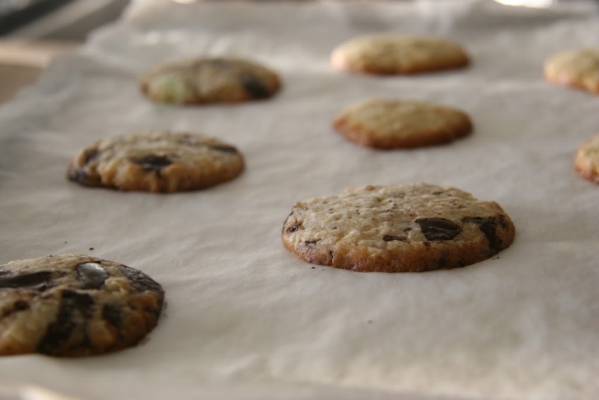 Cookie Crispies - I Will Not Eat Oysters