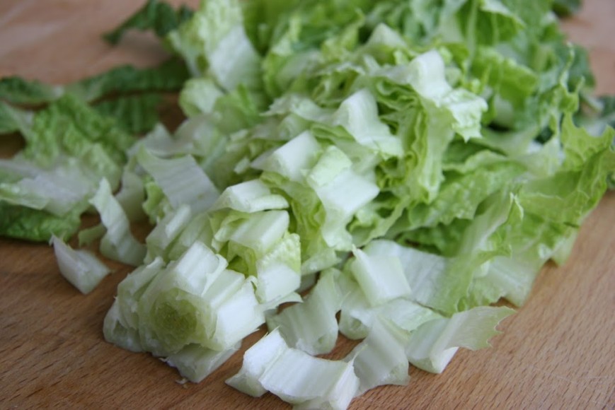 Mighty Green Caesar - I Will Not Eat Oysters