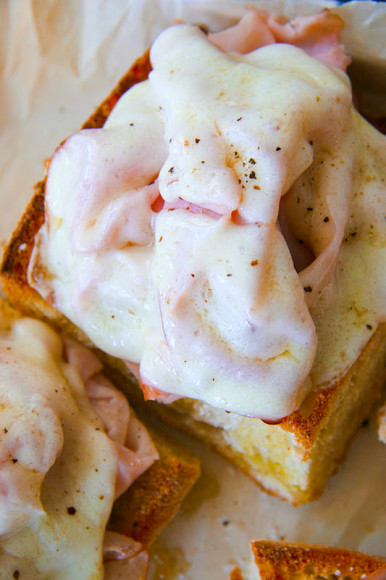 Fancy Ham and Cheese - I Will Not Eat Oysters